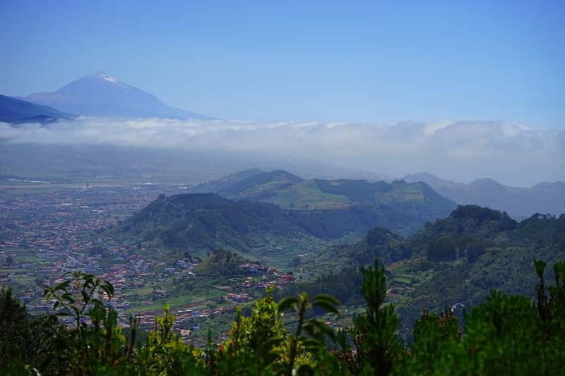 From Puerto de La Cruz: VIP Tour Around Anaga and La Laguna - An Introduction to the Experience