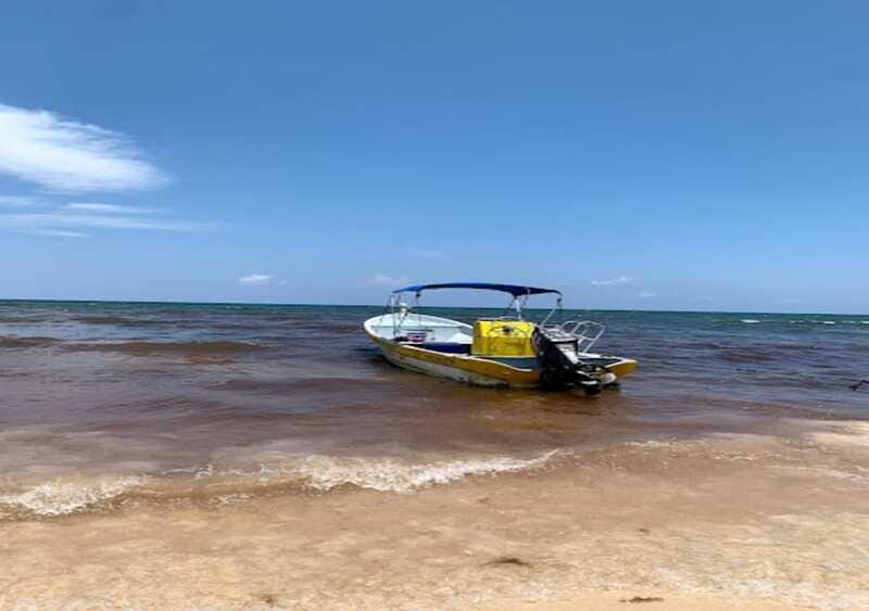 From Puerto Morelos: Ocean Reef Snorkeling - Practical Tips for Your Snorkeling Day