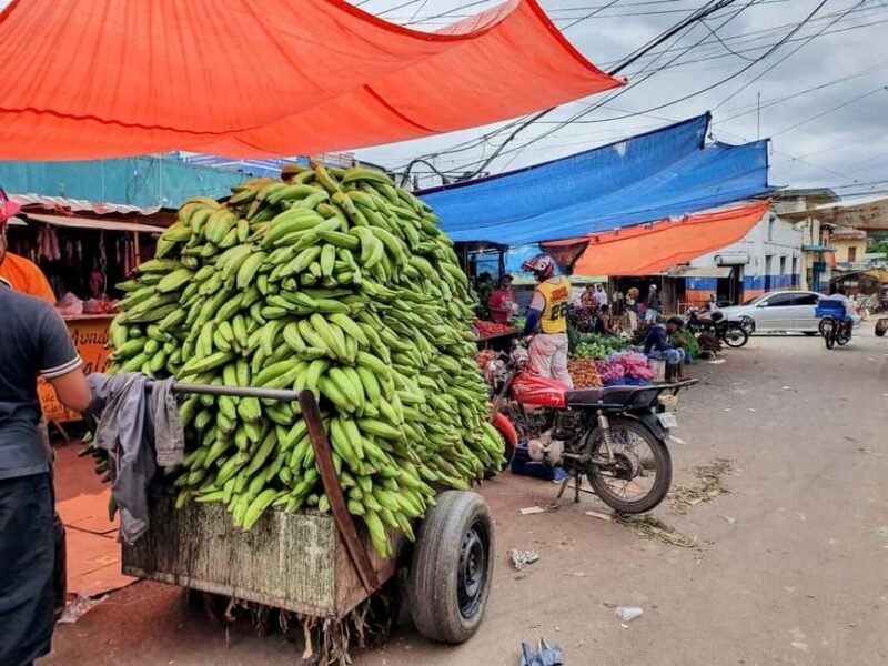 From Puerto Plata Priv: Cocoa, Coffee, Cigars & Local Market - Scenic Drive Through Puerto Plata Province