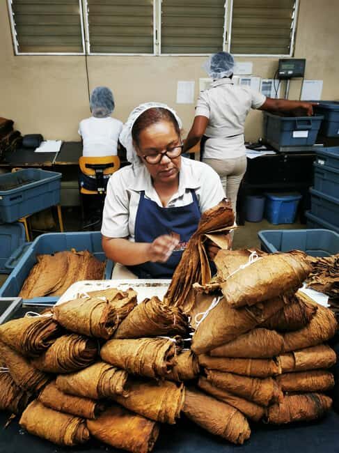 From Puerto Plata Priv: Cocoa, Coffee, Cigars & Local Market - Market Visit in Santiago de los Caballeros