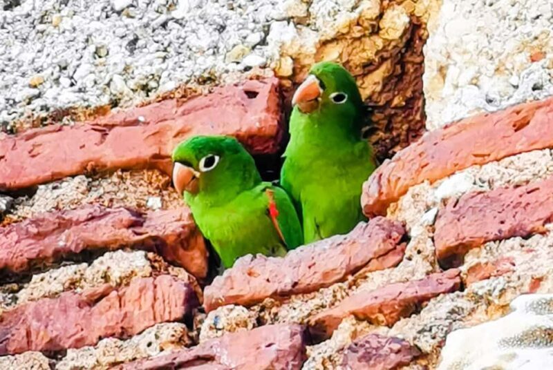 From Puerto Plata: Santo Domingo Complete Visit - Final Thoughts