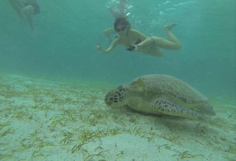 From Puerto Princesa: Port Barton & Island Hopping Day Trip - The Itinerary: What’s in Store?