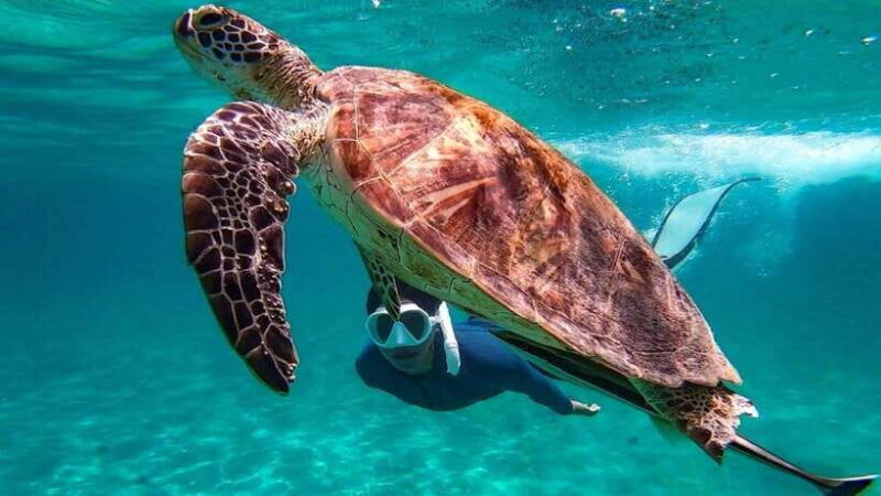 From Puerto Princesa: Port Barton & Island Hopping Day Trip - The Value Proposition