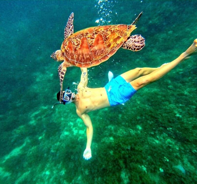 From Puerto Princesa: Port Barton Island Hopping - Key Points