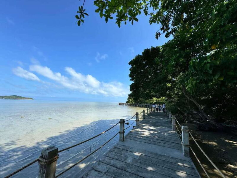 From Puerto Princesa: Tabon Cave Day Tour with lunch - An In-Depth Look at the Tour Experience