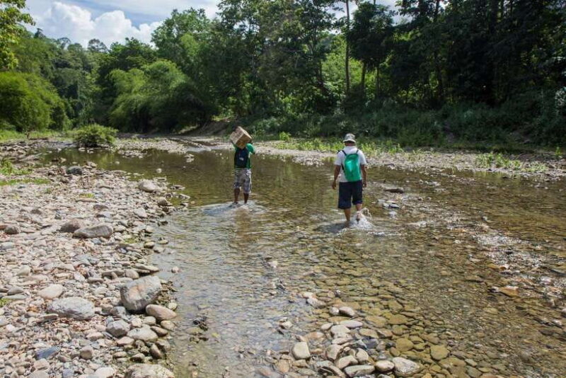 From Puerto Princesa: Trek to Batak Tribe Village - A Close Look at the Itinerary