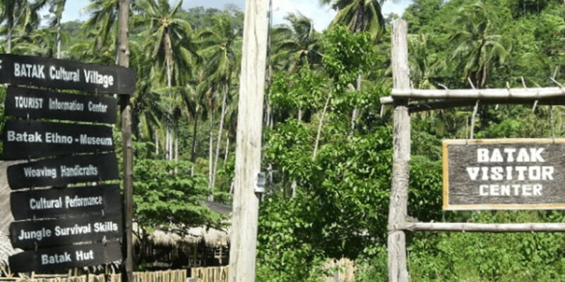 From Puerto Princesa: Trek to Batak Tribe Village - Who Is This Tour Best For?