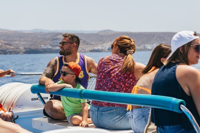 From Puerto Rico de Gran Canaria: Dolphin Watching Cruise - Key Points
