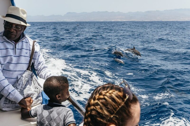 From Puerto Rico de Gran Canaria: Dolphin Watching Cruise - Who this tour is perfect for