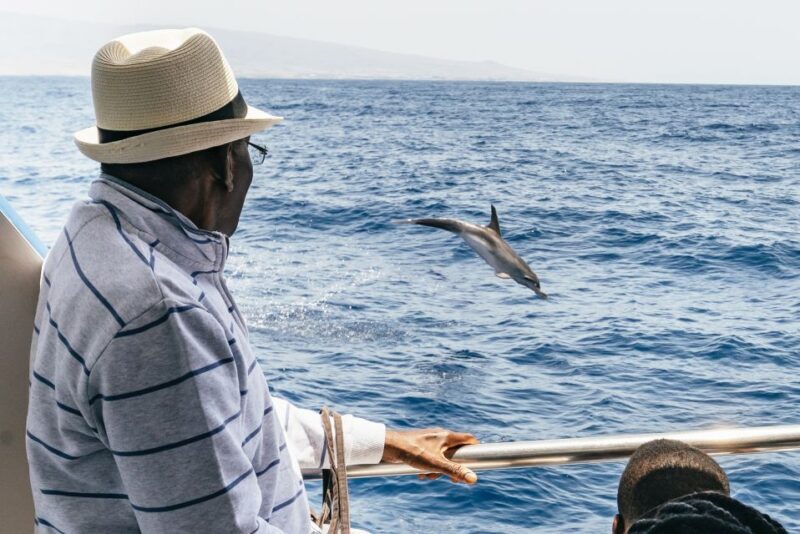 From Puerto Rico de Gran Canaria: Dolphin Watching Cruise - Final Word: Is it worth it?