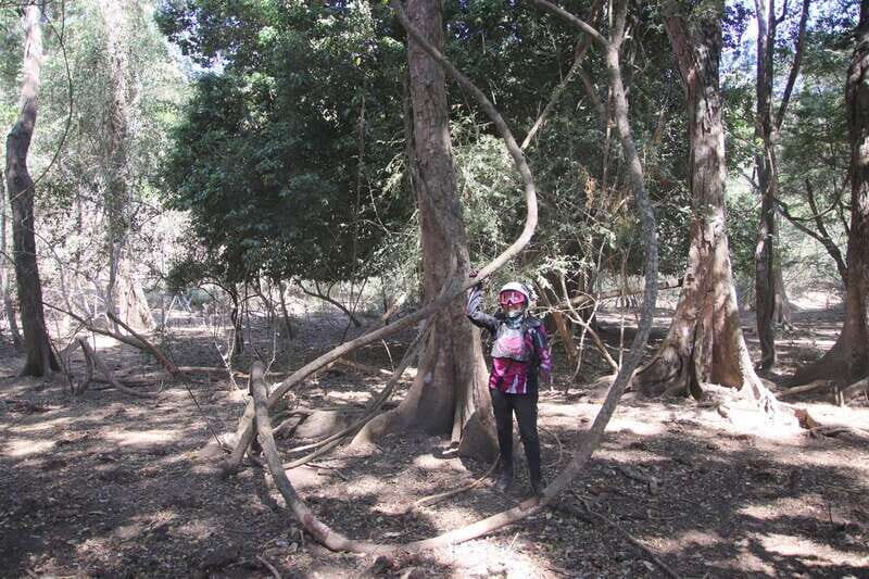 From Puerto Vallarta: 2-Hour Guided Sierra Vallejo Hike - FAQ