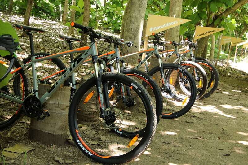 From Puerto Vallarta: Jungle Mountain Bike Tour - Who Will Appreciate This Tour?