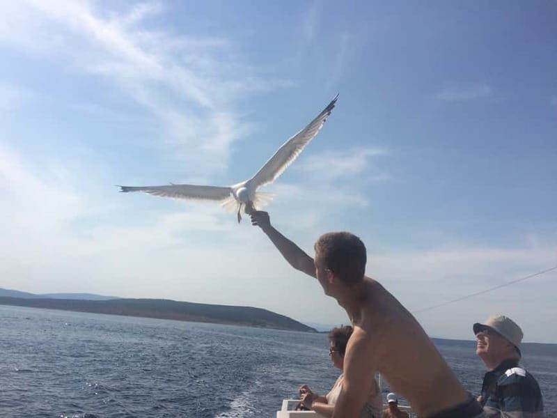 From Punat: Plavnik Island Boat Tour with Lunch - Who Will Love This Tour?