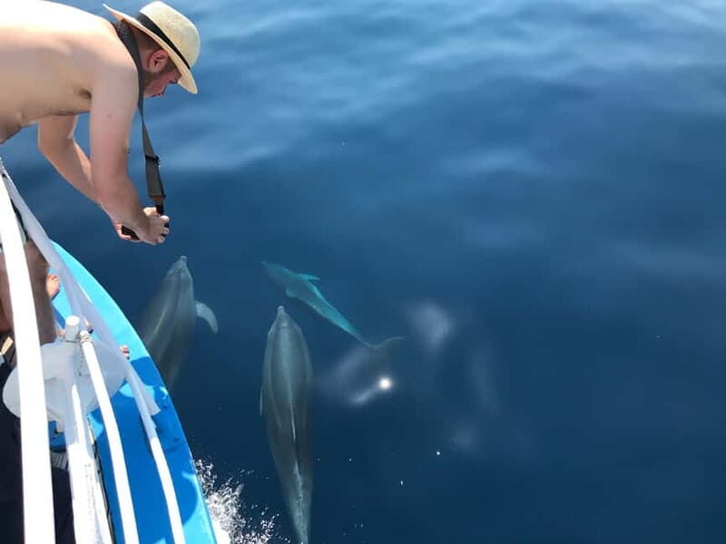 From Punat: Plavnik Island Boat Tour with Lunch - The Sum Up