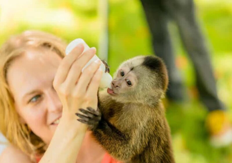 From Punta Cana: ATV and Buggy Excursion 4x4 with Water Cave - The Sum Up