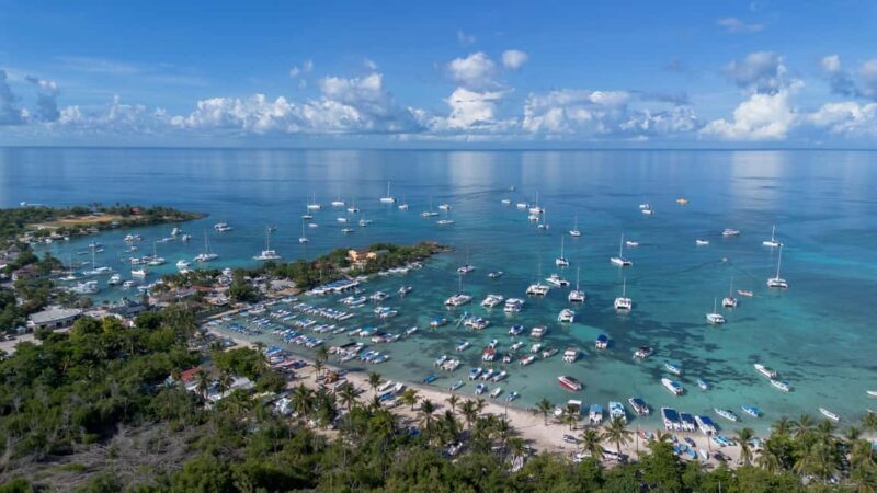 From Punta Cana: Catalina Island Swim, Sail & Snorkel - Potential Drawbacks