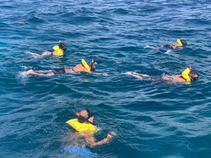 From Punta Cana: Catalina Island Swim, Sail & Snorkel - FAQ