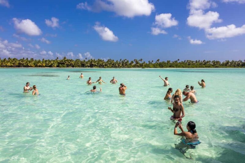 From Punta Cana: Catamaran Cruise to Saona Island with Lunch - An In-Depth Look at the Saona Island Catamaran Experience