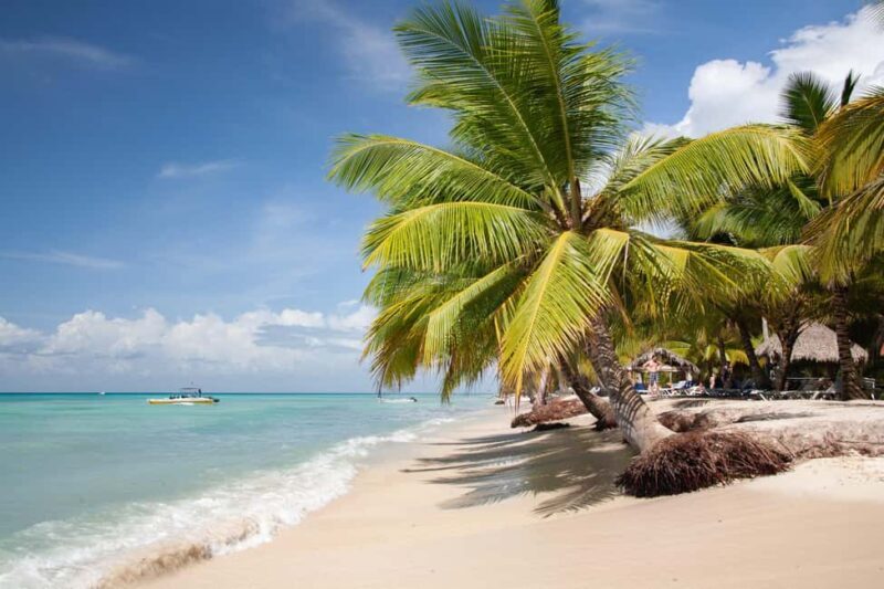 From Punta Cana: Catamaran Tour to Saona Island with Open Bar and Buffet - Practical Tips and Considerations