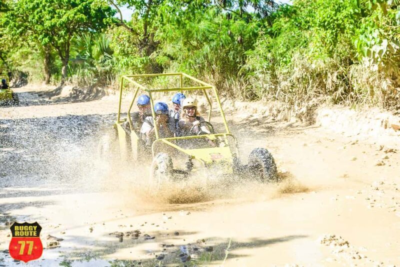 From Punta Cana: Countryside Off-Road Buggy Adventure - Key Points
