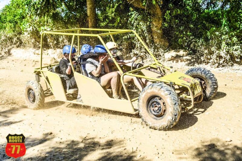 From Punta Cana: Countryside Off-Road Buggy Adventure - The Cenote Swim: A Cool Break