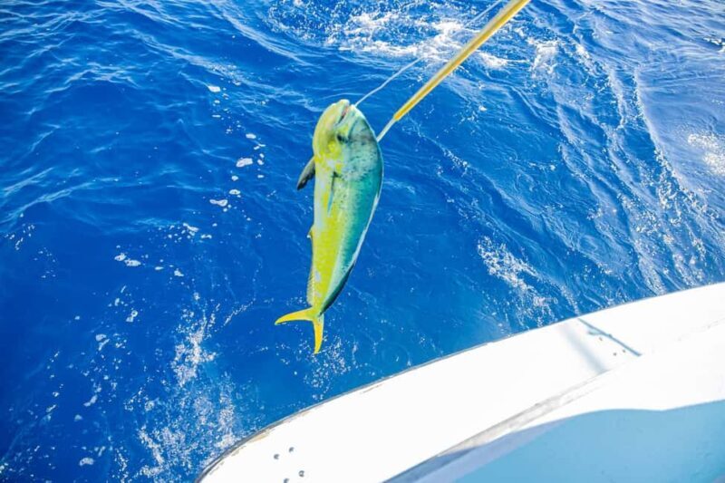 From Punta Cana: Deep Sea Fishing Tour by Boat with Drinks - Key Points