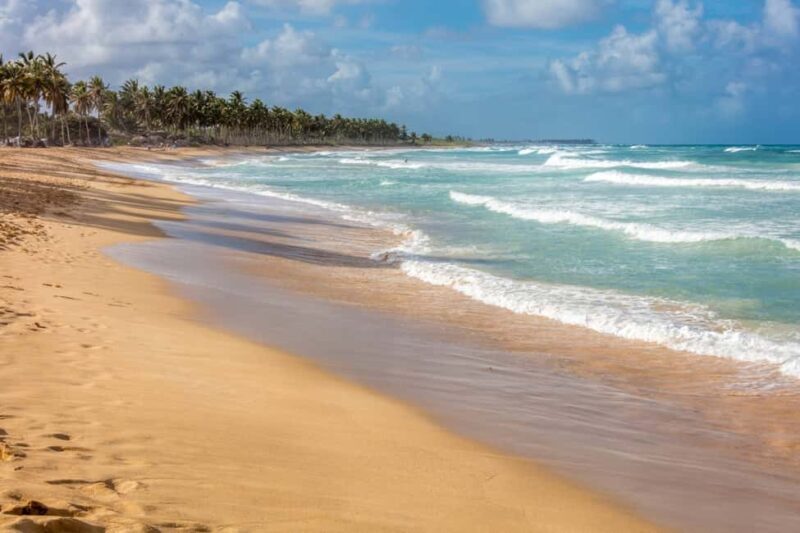 From Punta Cana: Full-Day Island Tour with Lunch - A Deep Dive into the Full-Day Island Tour