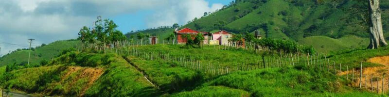 From Punta Cana: Higüey Guided Safari Tour - An In-Depth Look at the Tour Experience