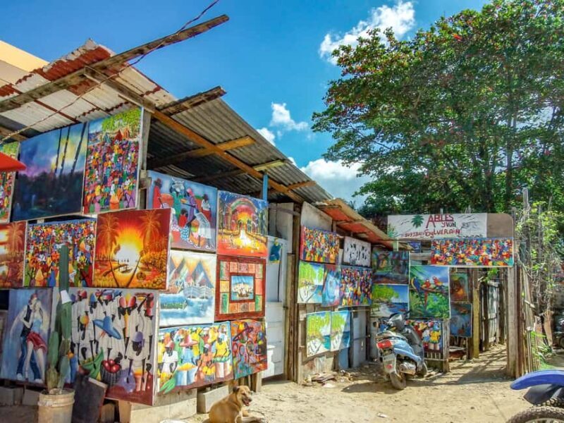 From Punta Cana: Higüey Guided Safari Tour - Who Will Enjoy This Tour?