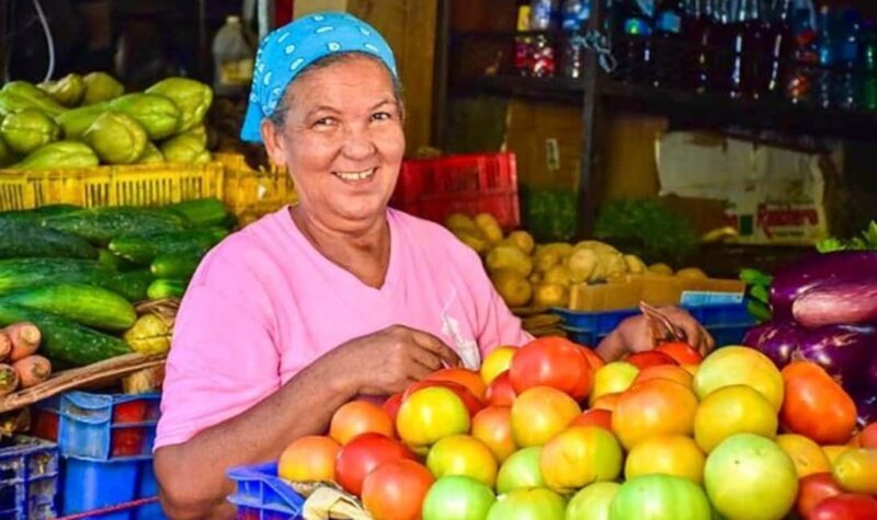 From Punta Cana: History and Culture Tour with River Swim - How the Logistics Matter