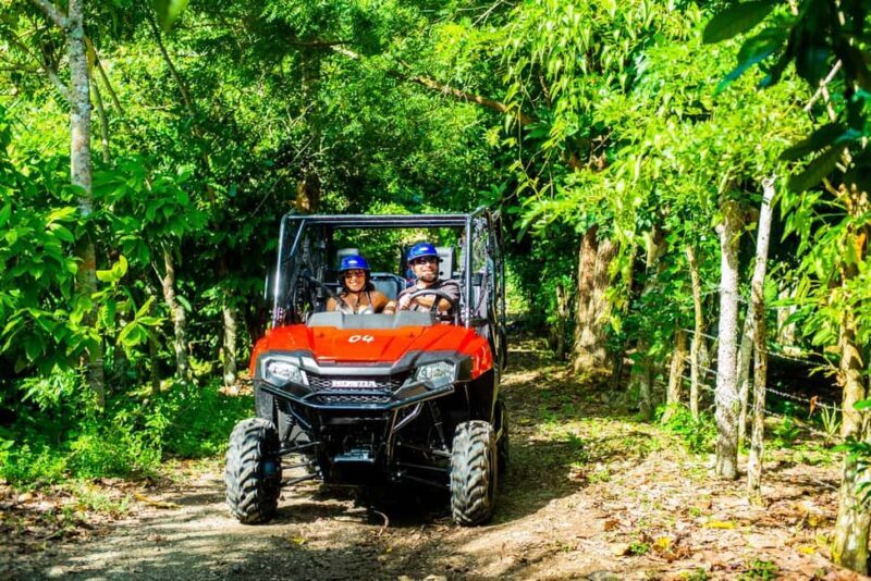 From Punta Cana: Jungle Buggy Adventure to Anamuya River - Key Points
