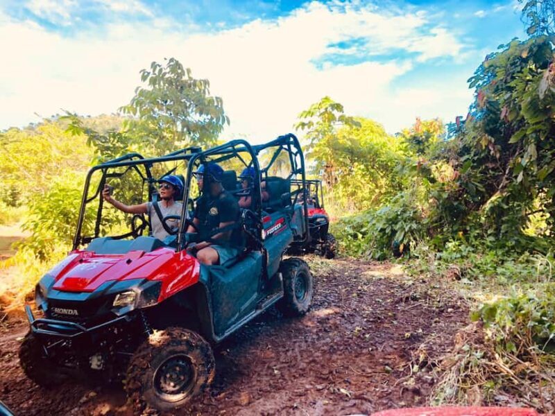 From Punta Cana: Jungle Buggy Adventure to Anamuya River - Detailed Review