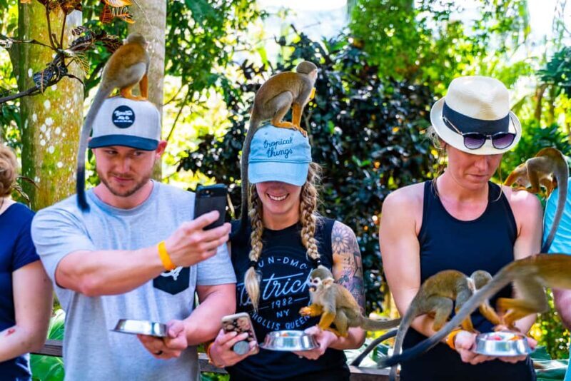 From Punta Cana: Jungle Buggy Ride & Monkeyland Guided Tour - Key Points