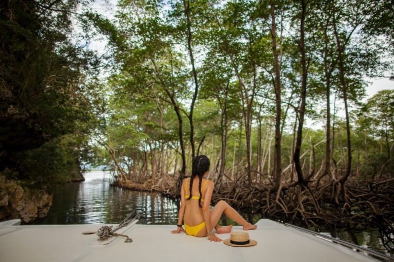 From Punta Cana: Los Haitises & Caño Hondo Private Boat Tour - Who Will Love This Tour?