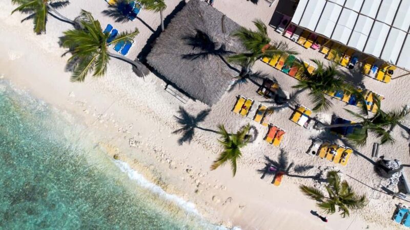 From Punta Cana or Bayahibe: Catalina Island with Snorkeling - Who Is This Tour Best For?