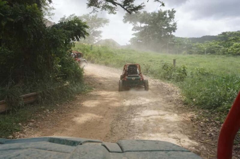 From Punta Cana or La Romana: Sugarcane Fields Buggy or Quad - Key Points