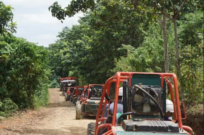 From Punta Cana or La Romana: Sugarcane Fields Buggy or Quad - FAQ