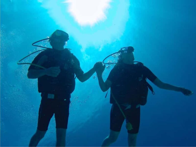 From Punta Cana: Private Catamaran Catalina Island Full-Day - Exploring the Journey: What to Expect