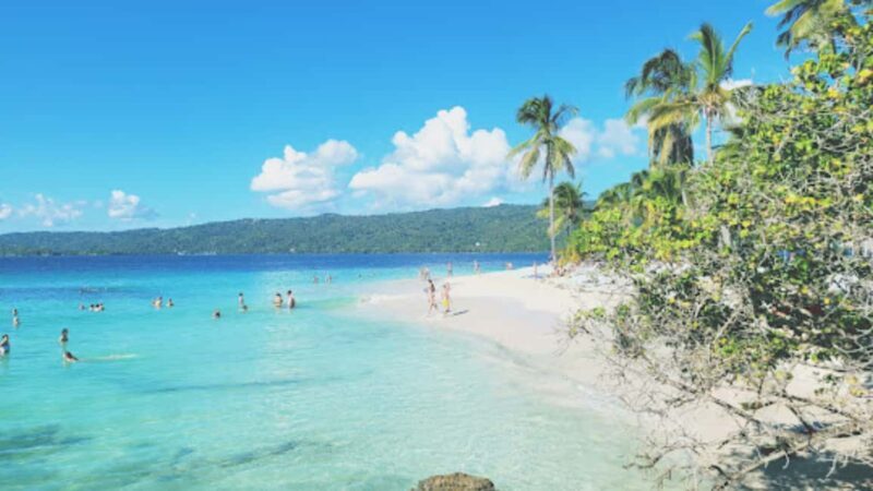 From Punta Cana: Samana and Bacardi Island Cruise and Tour - Whales and Seasonal Wonder