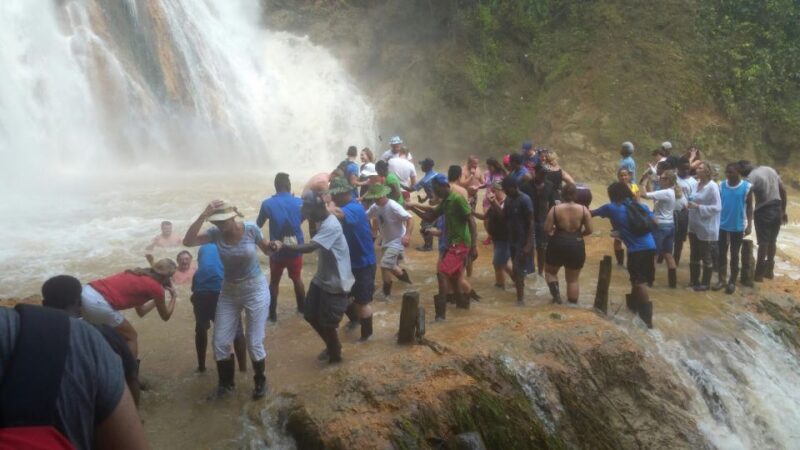 From Punta Cana: Samaná, Cayo Levantado & El Limón Waterfall - Exploring the Samaná Experience: A Practical Guide for Curious Travelers