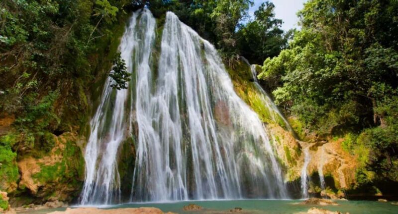 From Punta Cana Samana Tour With Cascada El Limon And Food - Exploring Samaná: From Whale Watching to Waterfalls