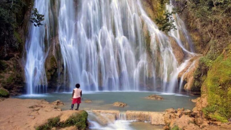 From Punta Cana: Samaná Whale Watching & Bacardi Island Tour - A Complete Breakdown of the Experience