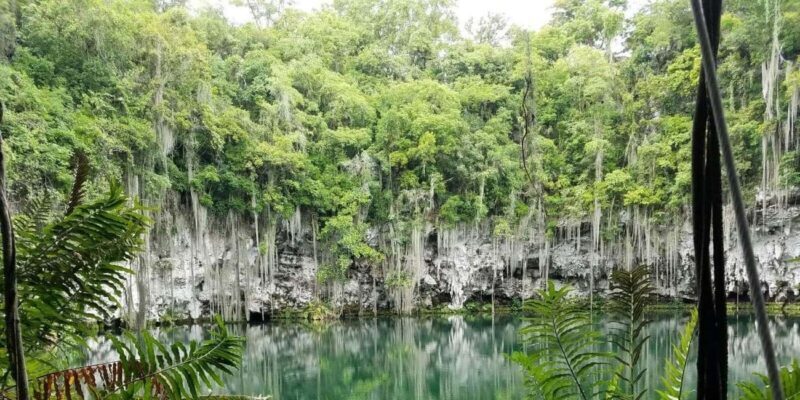 From Punta Cana: Santo Domingo Full-Day Tour with Lunch - Key Points