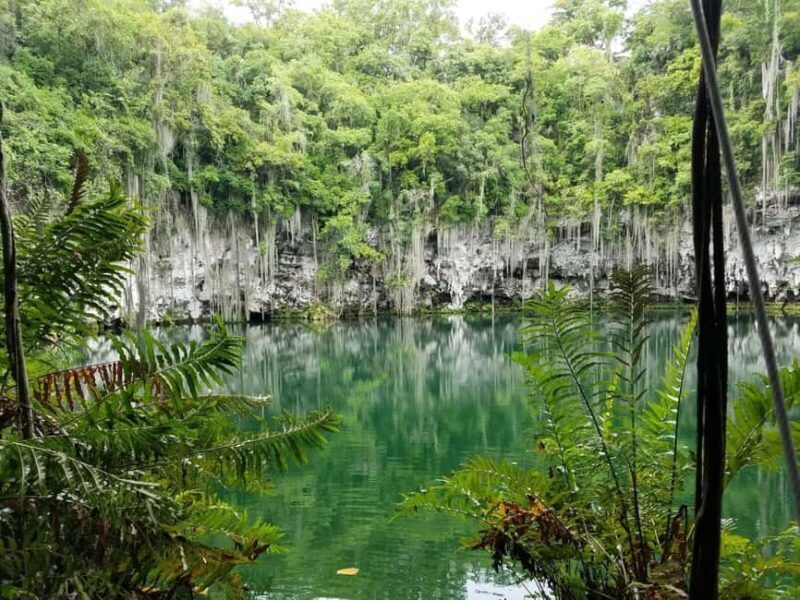 From Punta Cana: Santo Domingo Full-Day Tour with Lunch - What to Expect from the Tour