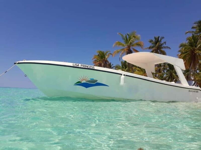 From Punta Cana: Saona and Mano Juan Day Trip by Catamaran - Who Would Enjoy This Tour?