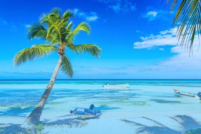 From Punta Cana: Saona Island Full Day For Small Group Catamaran - FAQ