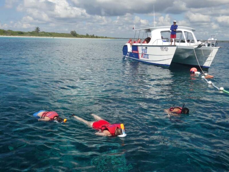 From Punta Cana: Saona Island Full-Day Tour with Lunch - Who Will Love This Tour?