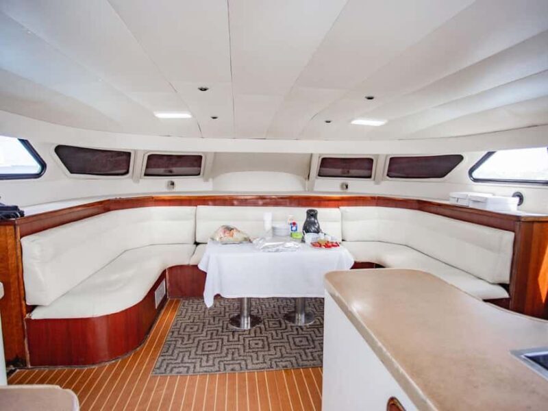 From Punta Cana: Saona Island Private Guided Catamaran Tour - The Value: Is It Worth It?