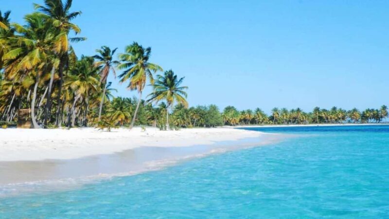 From Punta Cana: Saona Island Tour with BBQ Lunch - Exploring Saona Island: What to Expect on the Tour
