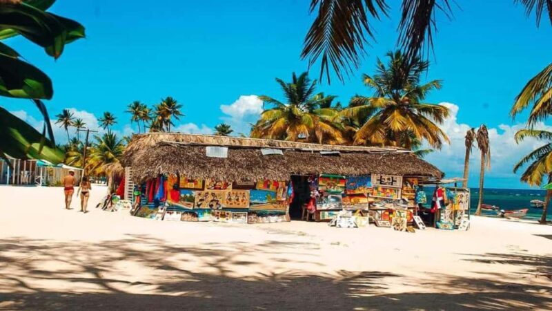 From Punta Cana: Saona Island Tour with BBQ Lunch - Final Thoughts: Who Is This Tour Best For?